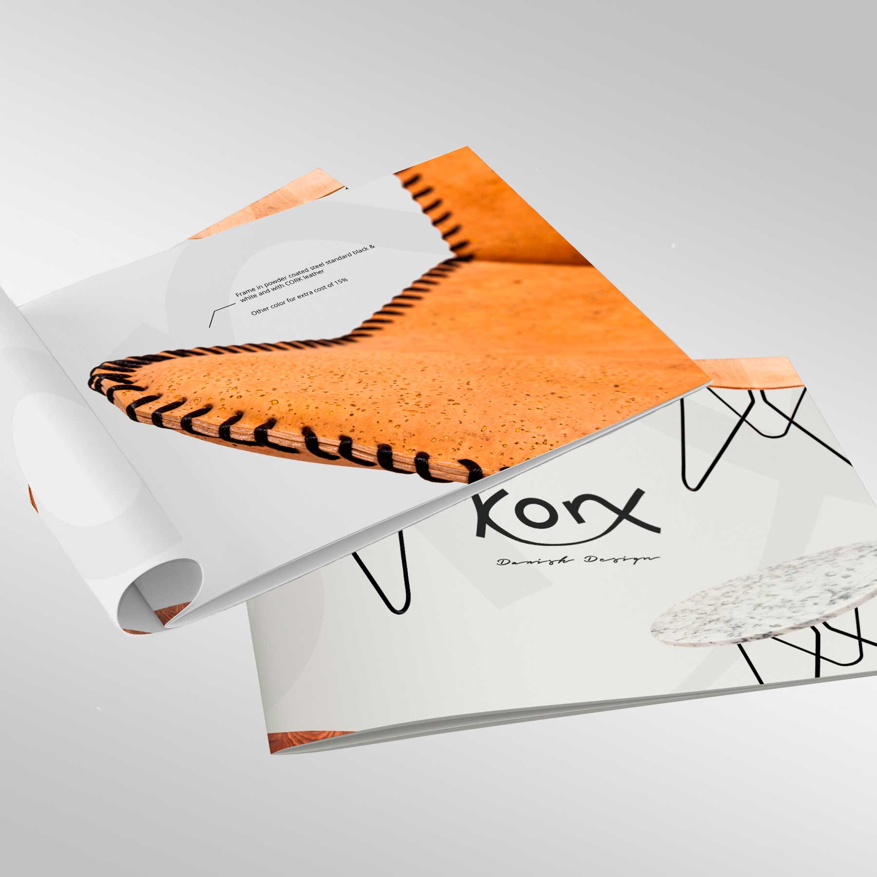 Brochure for KORX – Barbara Karen – CV